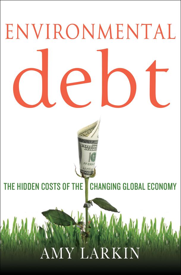 About the Book | Environmental Debt